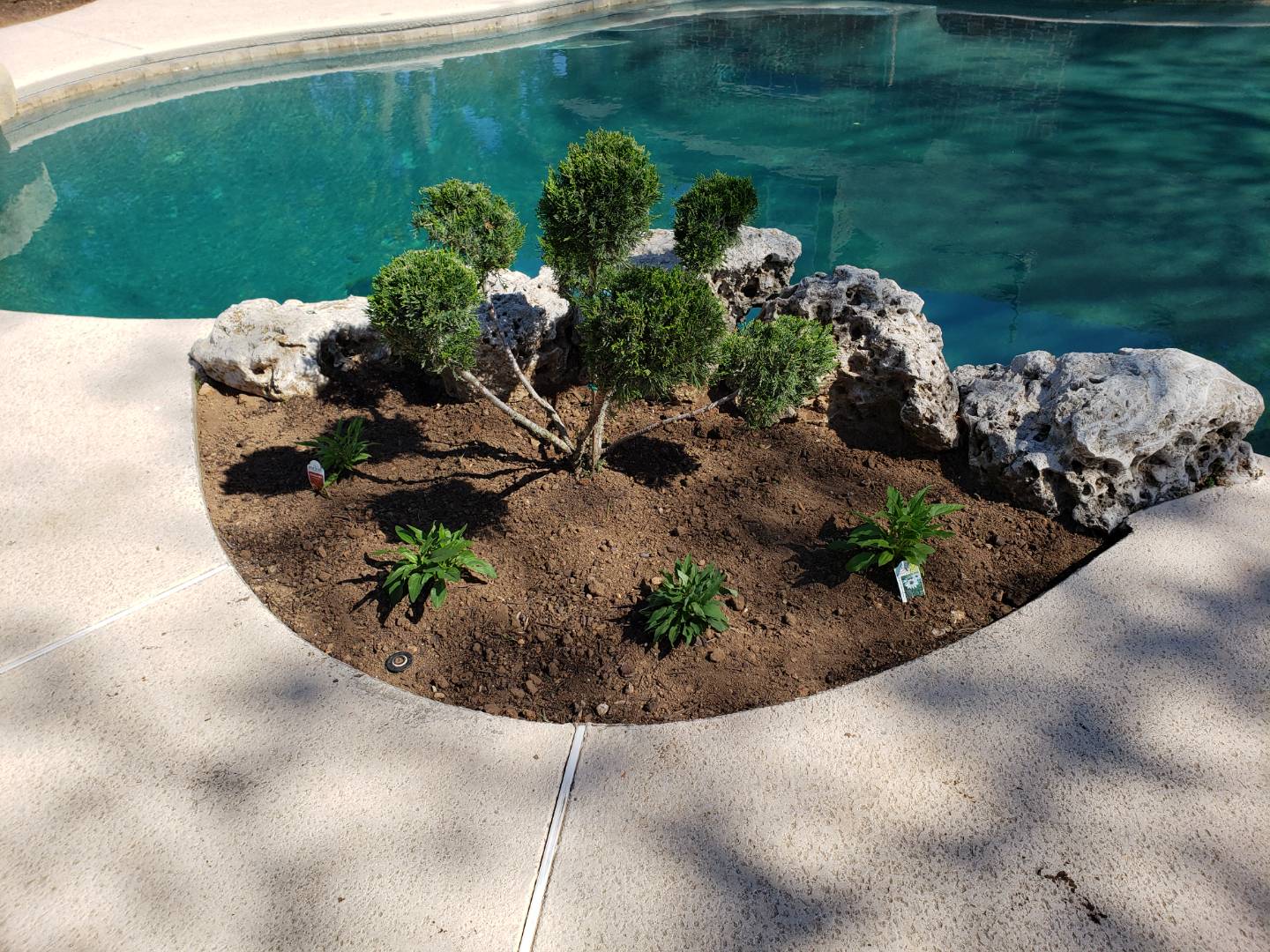 Landscaping Trends for Healthy, Self-Sustaining Landscapes